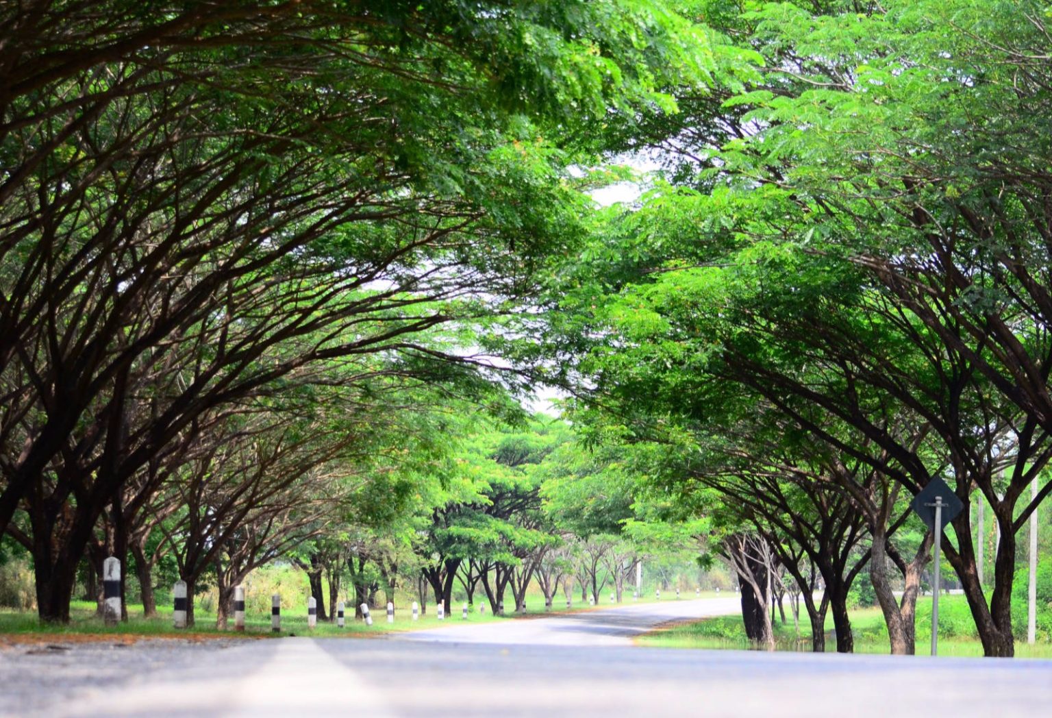 Life @SUT – SUT International Admissions