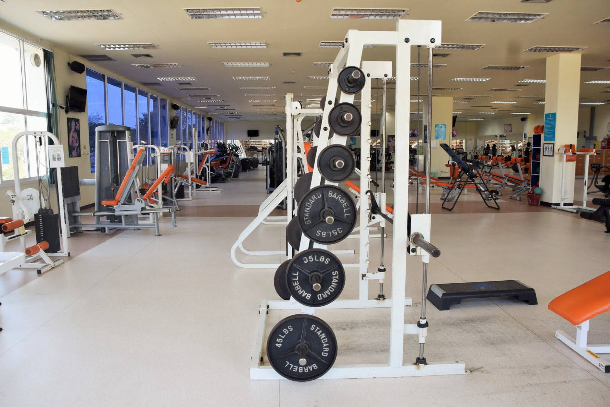 Life @SUT – SUT International Admissions